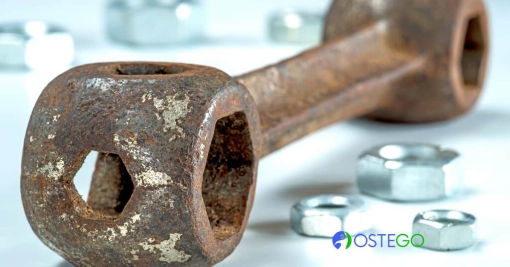 4 Best Bone Building Exercises: Make Your Bones Stronger - Ostego